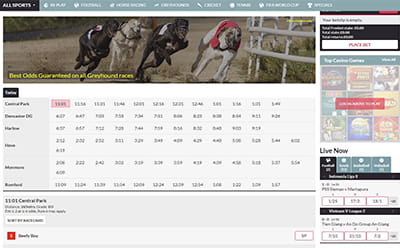 Best New Greyhound Betting Sites - UK's Latest Bookmakers 2023