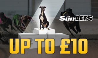 Greyhound Bets Explained: Our Guide to the Different Dog Bet Types